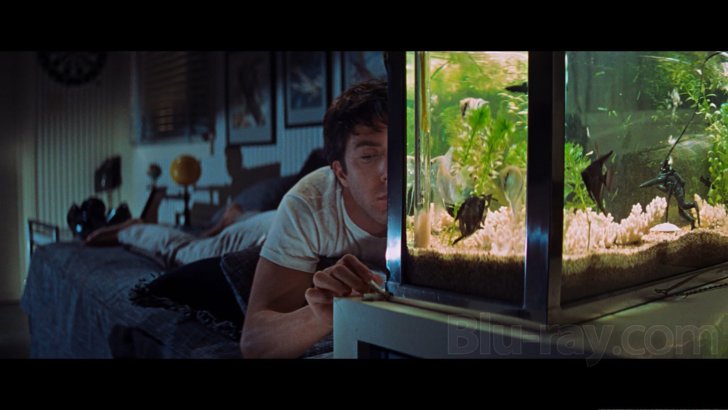 The Graduate Blu-ray (50th Anniversary Edition) (United Kingdom)