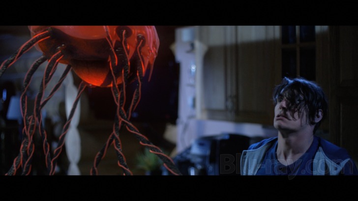 The Recall Blu-ray (Blu-ray + DVD)