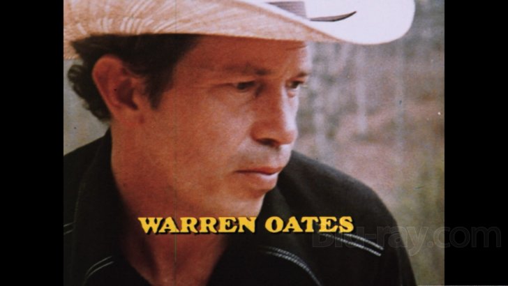 Trailer Trauma 4: Television Trauma Blu-ray