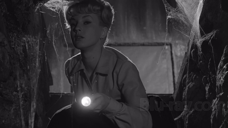The Vault of Amicus Blu-ray Release Date January 16, 2018