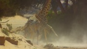 Earth: One Amazing Day (2017)