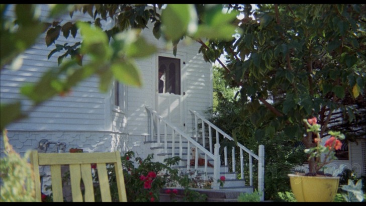 Benji Blu-ray (Remastered)