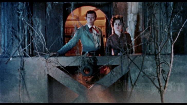 Dungeon of Harrow Blu-ray (Dungeons of Horror)