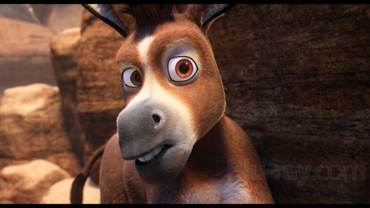 The Star Blu-ray (Blu-ray + DVD + Digital HD)