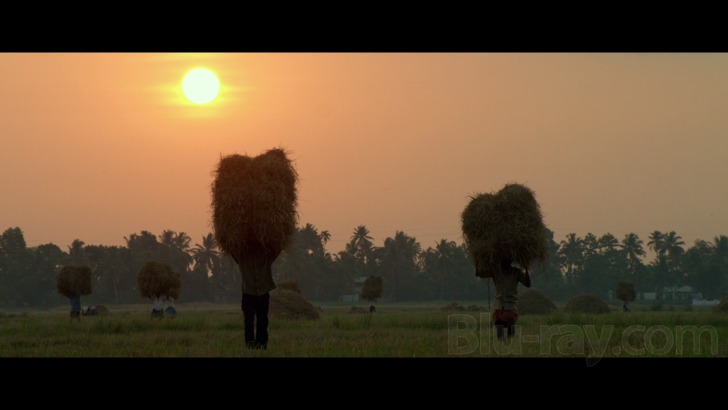 Basmati Blues Blu-ray Release Date April 3, 2018