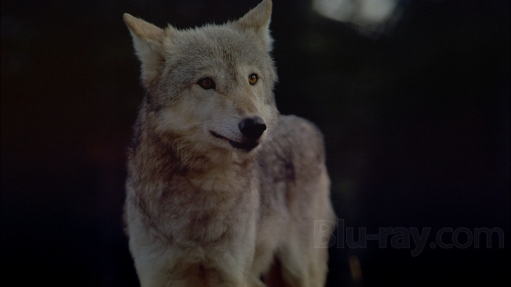 Wolves Blu-ray (IMAX)