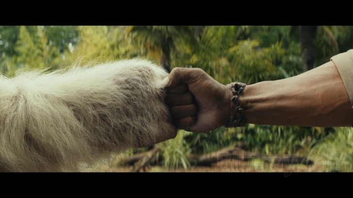 Rampage Blu-ray (Blu-ray + DVD)