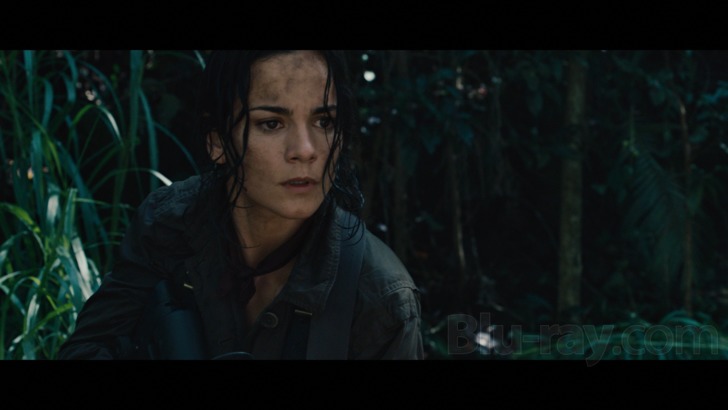 Predator: 3-Movie Collection 4K Blu-ray (4K Ultra HD + Blu-ray ...