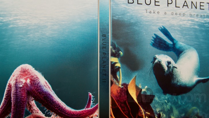 Blue Planet II 4K Blu-ray (Best Buy Exclusive SteelBook)