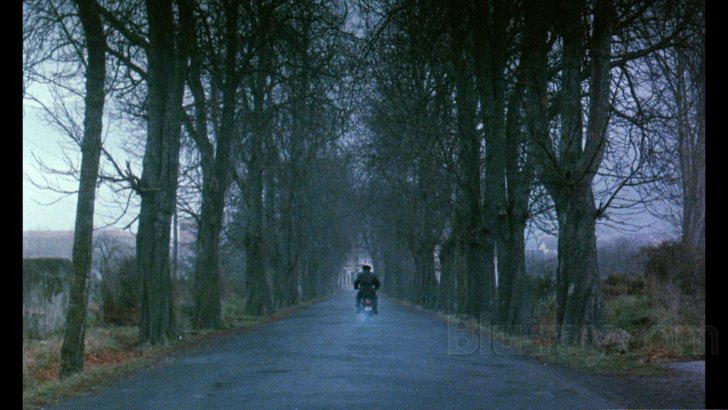 El Sur Blu-ray Release Date June 19, 2018