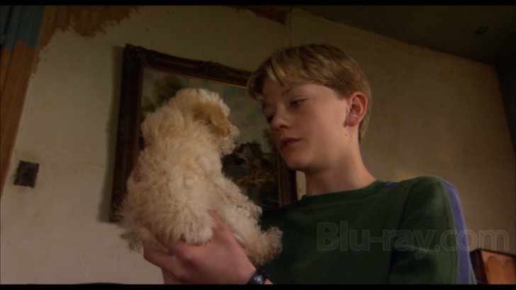 Benji: Off the Leash! Blu-ray (Remastered)