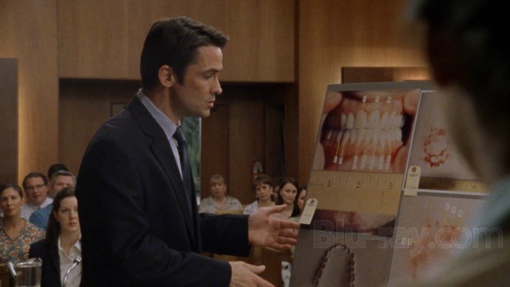Ann Rule Presents: The Stranger Beside Me Blu-ray (The Ted Bundy Story)