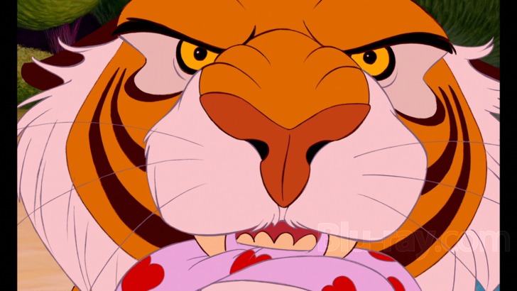 Aladdin 4K Blu-ray (The Signature Collection | Ultimate Collector's ...