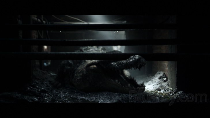 Crawl Blu-ray (Blu-ray + DVD + Digital HD)