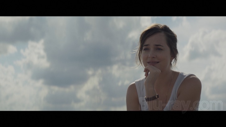 The Peanut Butter Falcon Blu-ray (Blu-ray + Digital HD)