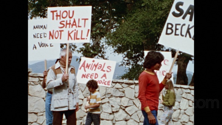 Shazam!: The Complete Live Action Series Blu-ray (Warner Archive Collection)