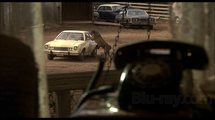 Cujo Blu-ray (25th Anniversary Edition)