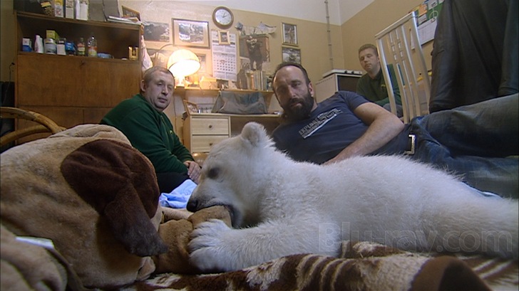 Knut and Friends Blu-ray (Knut und seine Freunde)