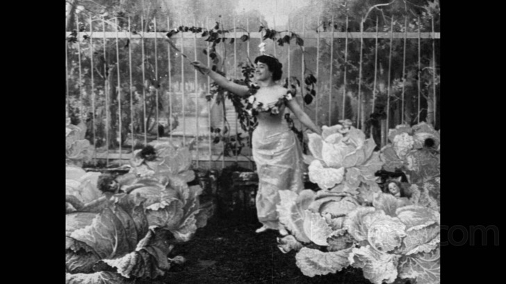 Alice Guy Blaché Vol. 1: The Gaumont Years Blu-ray