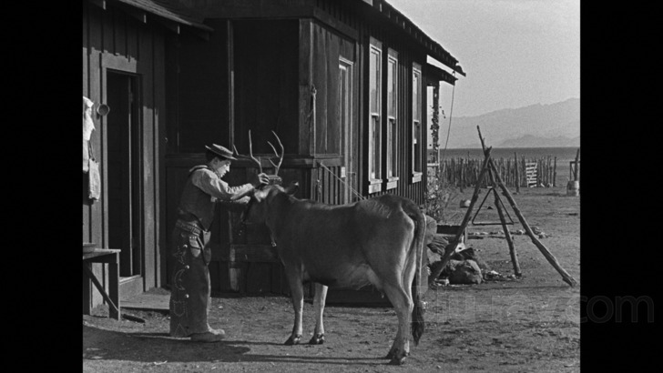 Go West Blu-ray