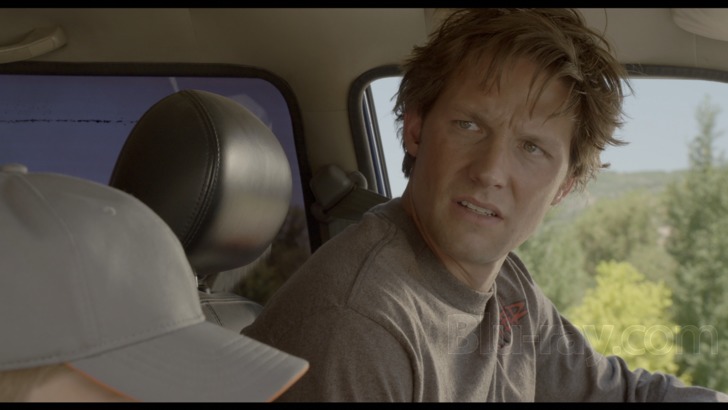 The Stray Blu-ray (Blu-ray + DVD + Digital HD)