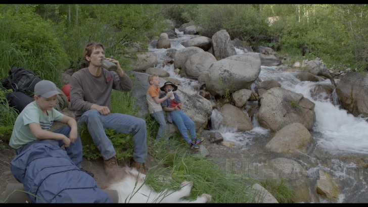 The Stray Blu-ray (Blu-ray + DVD + Digital HD)