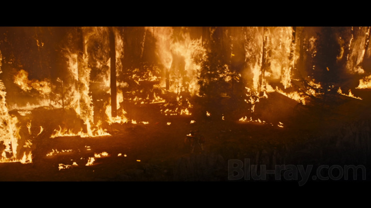 Fire Blu-ray (Огонь / No Escape)