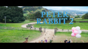 Peter Rabbit 2: The Runaway Blu-ray (Blu-ray + DVD + Digital HD)
