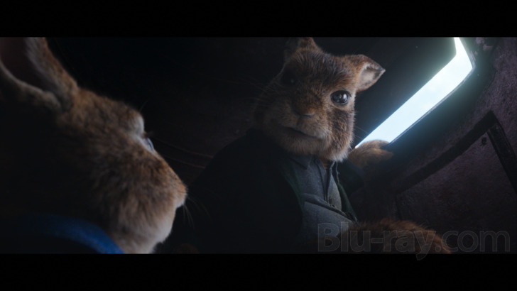 Peter Rabbit 2: The Runaway 4K Blu-ray (4K Ultra HD + Blu-ray + Digital 4K)