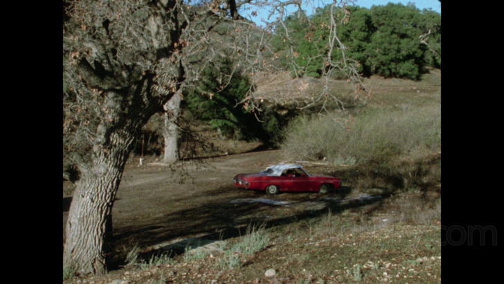 Fantasm/Fantasm Comes Again Blu-ray (Peekarama Collection)