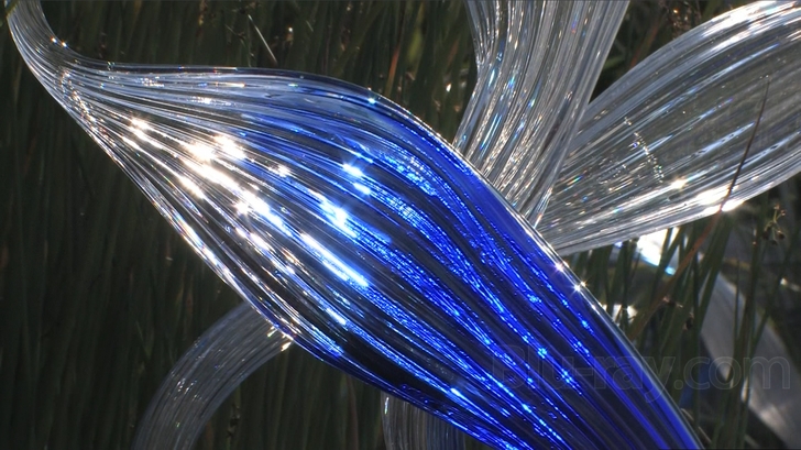 HD Moods Chihuly in Nature Blu-ray Release Date September 16, 2009