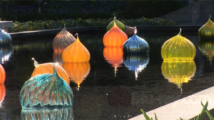 HD Moods Chihuly in Nature Blu-ray Release Date September 16, 2009