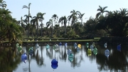 HD Moods Chihuly in Nature Blu-ray Release Date September 16, 2009