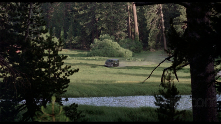 Ticks 4K Blu-ray (Vinegar Syndrome Exclusive)