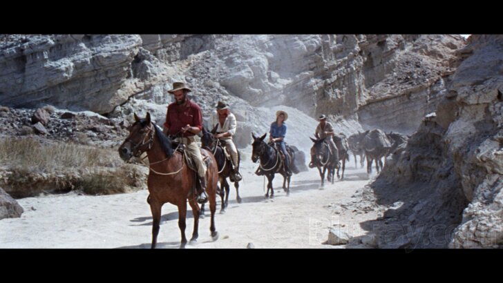 The Pink Jungle Blu-ray