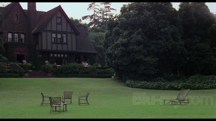 Alligator 4K Blu-ray (4K Ultra HD + Blu-ray)