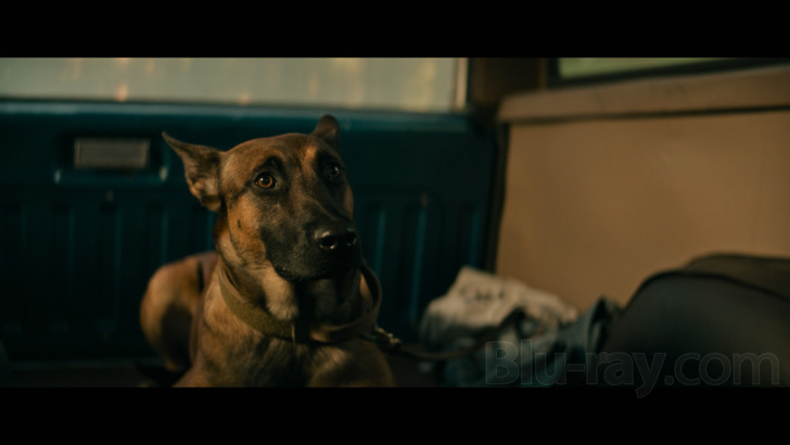 Dog Blu-ray (Blu-ray + DVD)