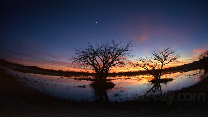 Magic of Flight Blu-ray (IMAX)