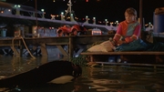 Free Willy: Escape from Pirate's Cove Blu-ray (Free Willy 4)