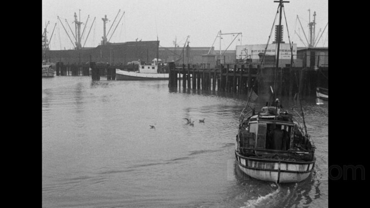 The Raging Tide Blu-ray