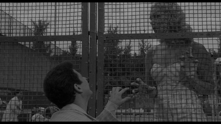 Raging Bull 4K Blu-ray (4K Ultra HD + Blu-ray)