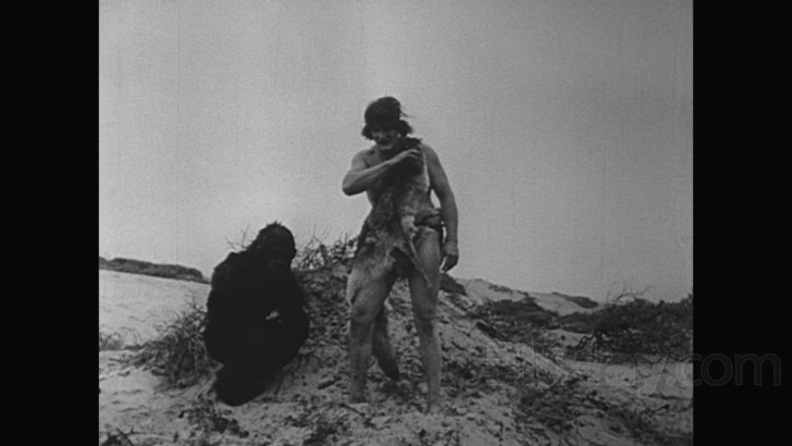 Adventures of Tarzan Blu-ray