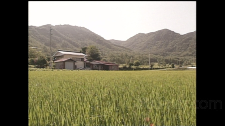 Ju-on: The Curse 2 Blu-ray (呪怨2 / Ju-on 2) (United Kingdom)