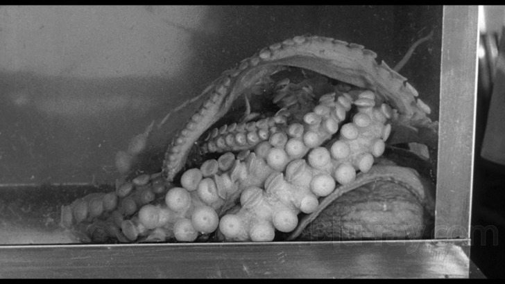 It Came from Beneath the Sea Blu-ray