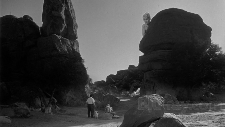 The 30 Foot Bride of Candy Rock Blu-ray