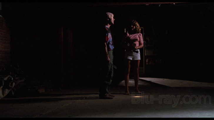 The Slumber Party Massacre 4k Blu Ray 4k Ultra Hd Blu Ray