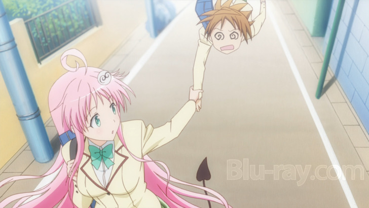 To Love Ru: The Complete Series Blu-ray (To LOVEる -とらぶる-)