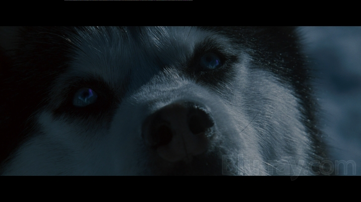 Eight Below Blu-ray
