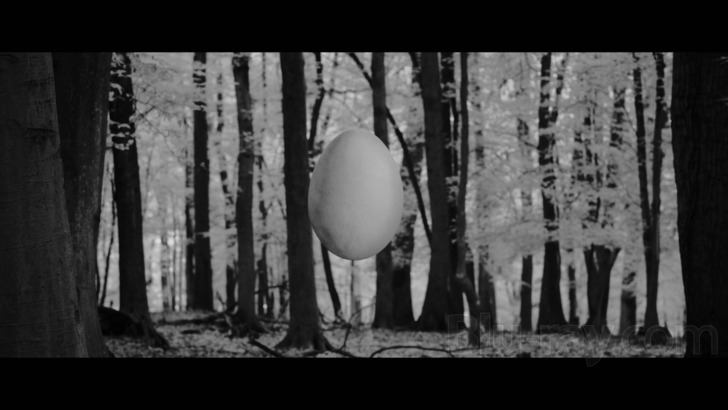 Leda 3D Blu-ray (Blu-ray 3D + Blu-ray)