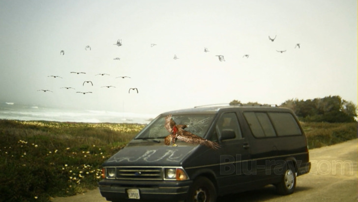 Wings of Disaster: The Birdemic Trilogy Blu-ray